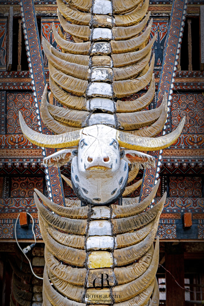 Torajan Tongkonan House in Sulawesi, Indonesia - GR Photography
